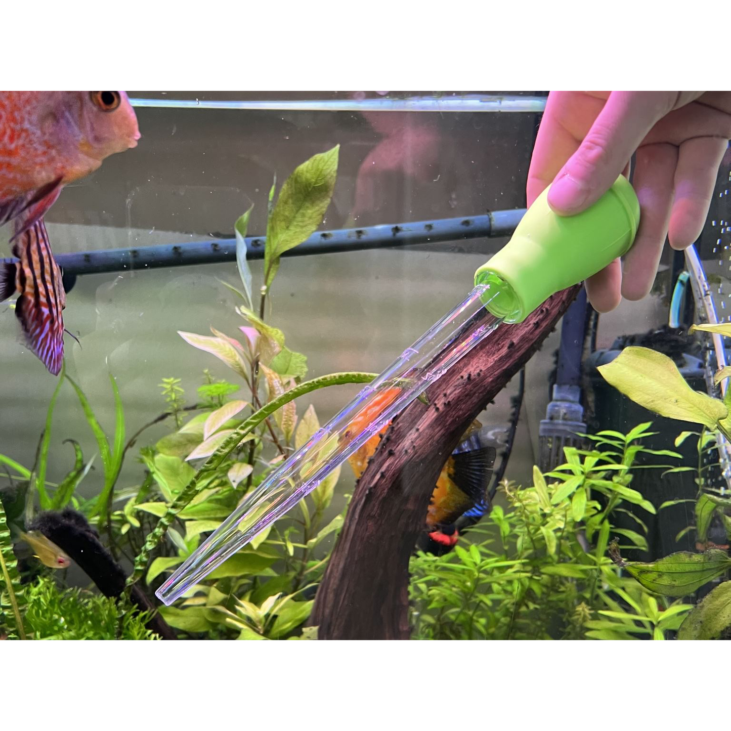 Pipette – Simply Fish