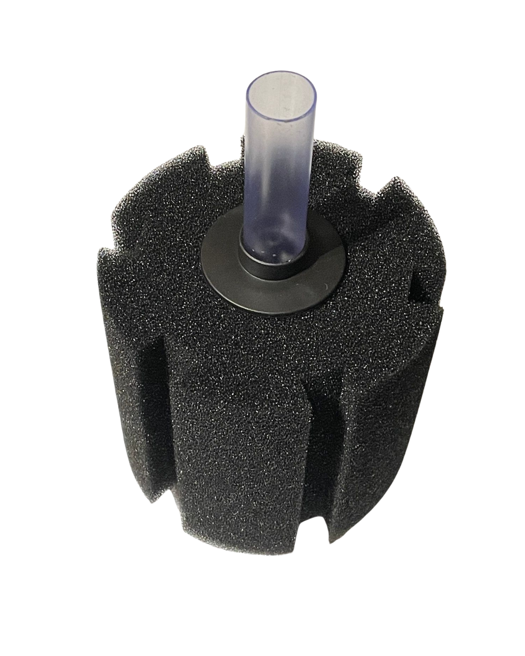 Sponge Filters